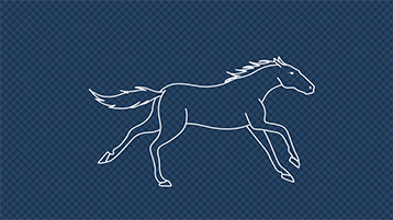 Outline Horse Galloping Loop Cycle Animation | Footage or AE project ...